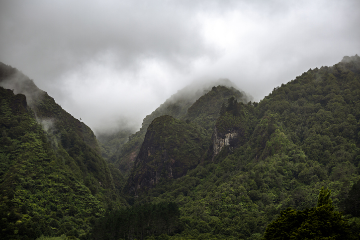 The Myrecil® Ingredient - Atopis